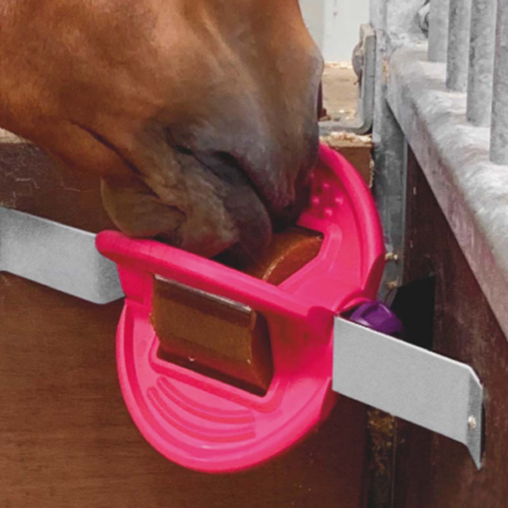 Bizzy Horse Metallfäste Bizzy Wall Bracket Grå | Horseonline