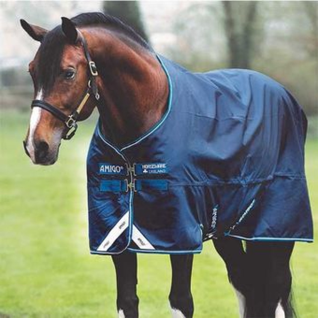 Utet cke F r H st Ponny Med Utan Halsdel Horseonline utet-cke-f-r-h-st-ponny-med-utan-halsdel-horseonline